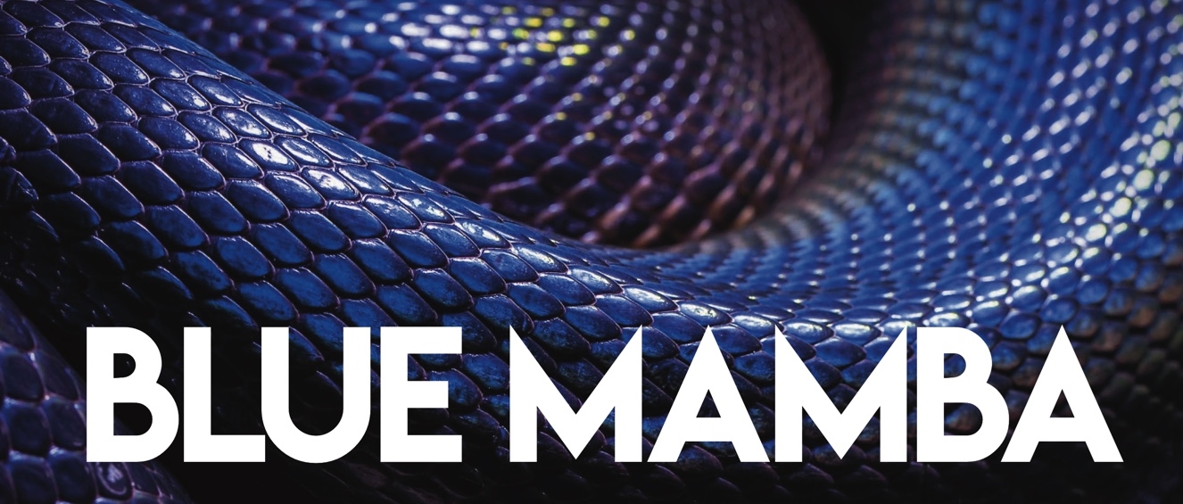 Aurora Limited Edition 88 Blue Mamba Fountain Pen