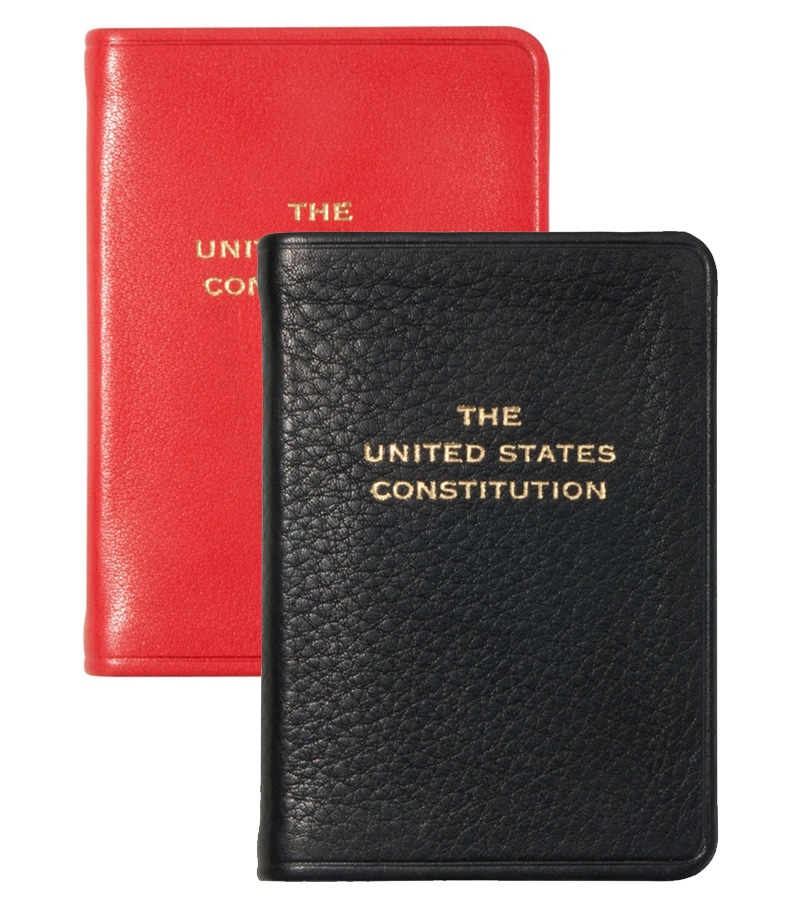 Graphic Image Mini United States Constitution