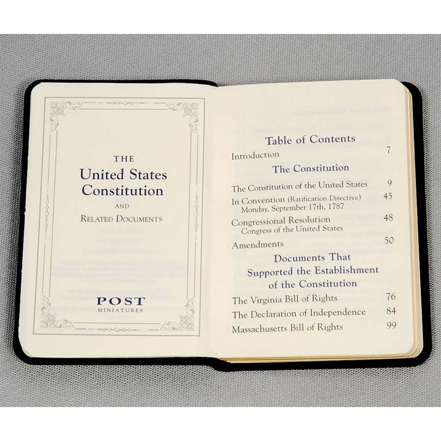 Graphic Image Mini United States Constitution