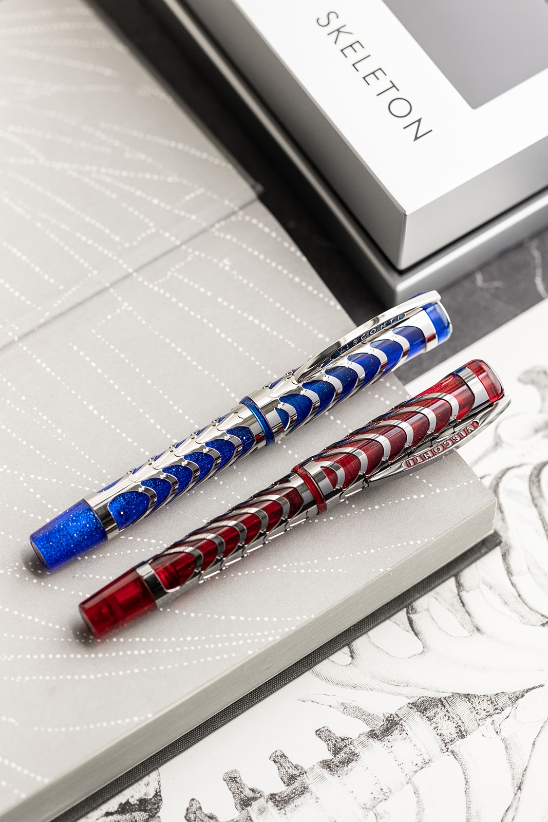 Visconti Limited Edition Skeleton 2023 Fountain Pen