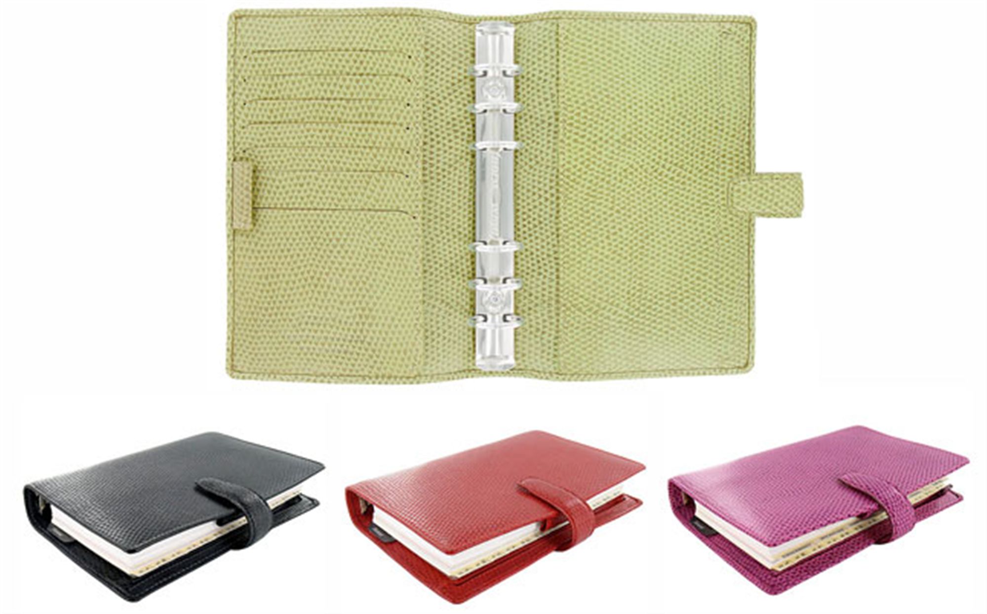 Filofax Chameleon Personal Binder