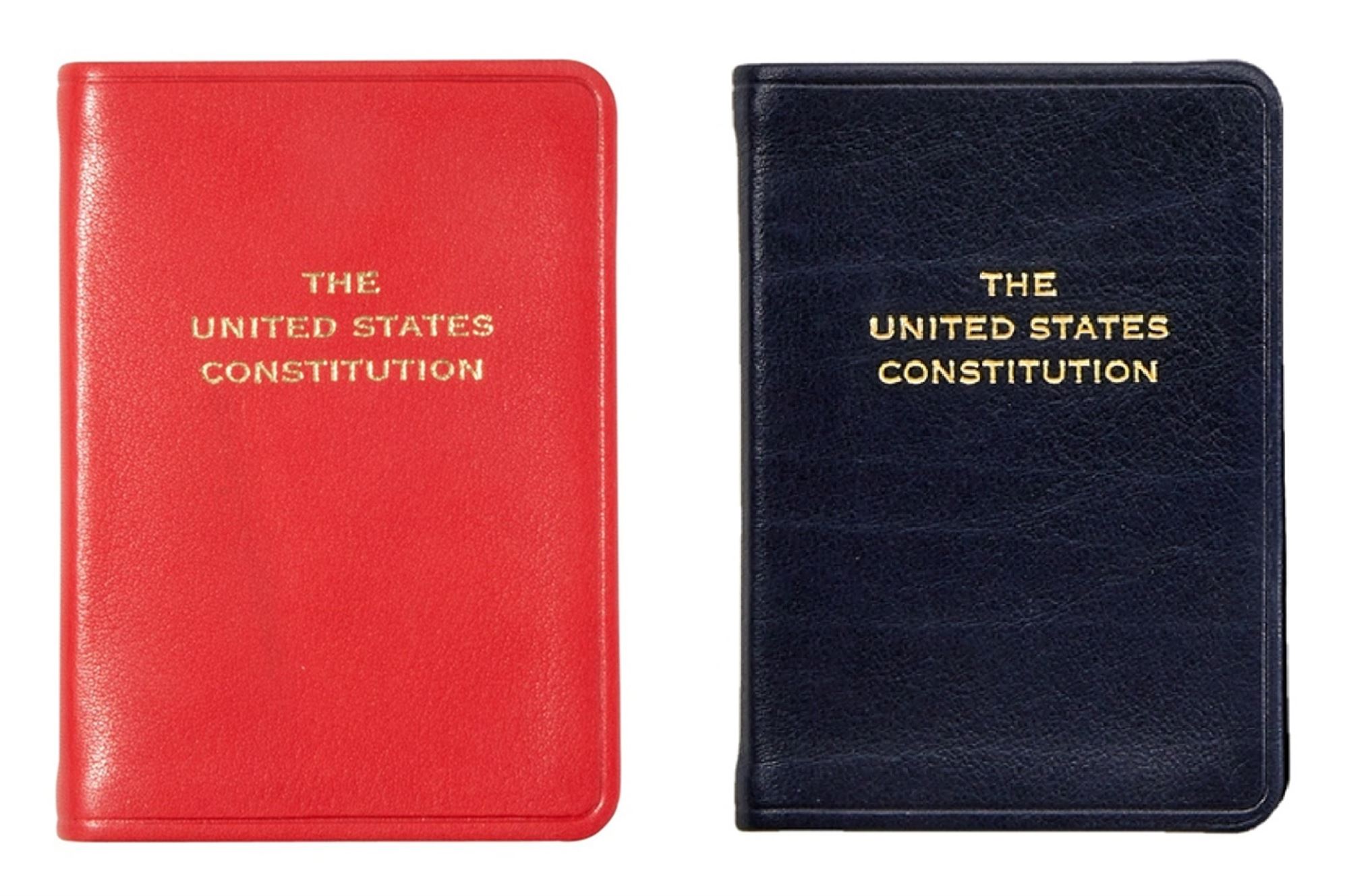 Graphic Image Mini United States Constitution